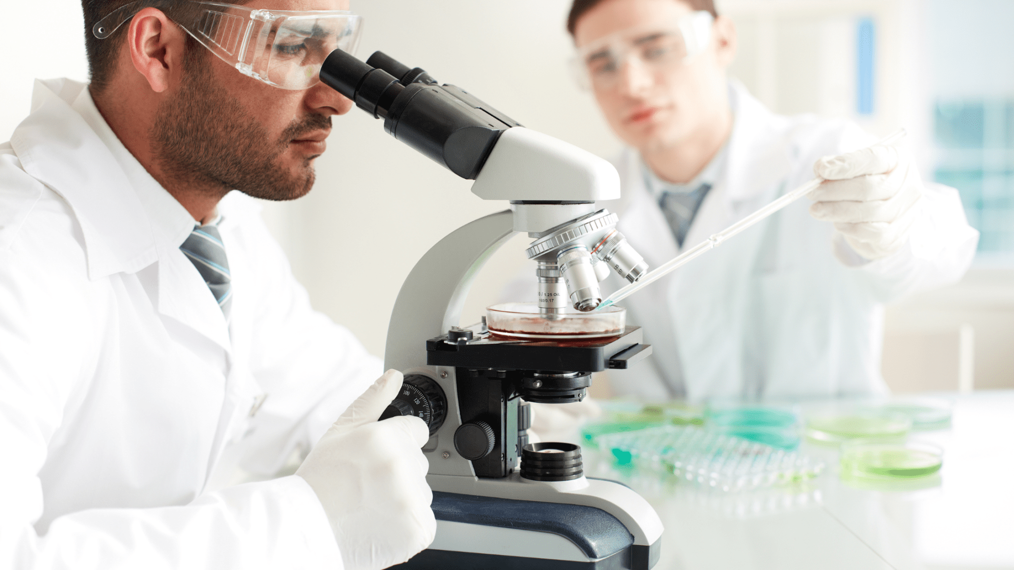 Scientific Studies Archives - Research Insights | MHI